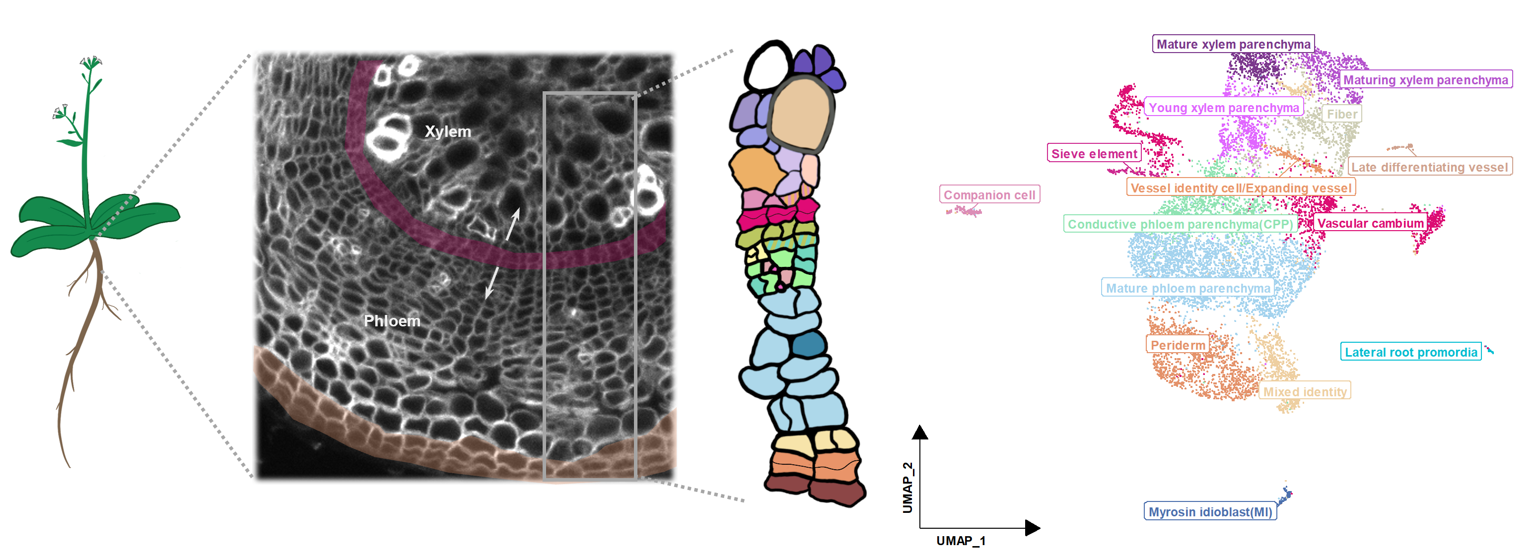 301 Moved Permanently